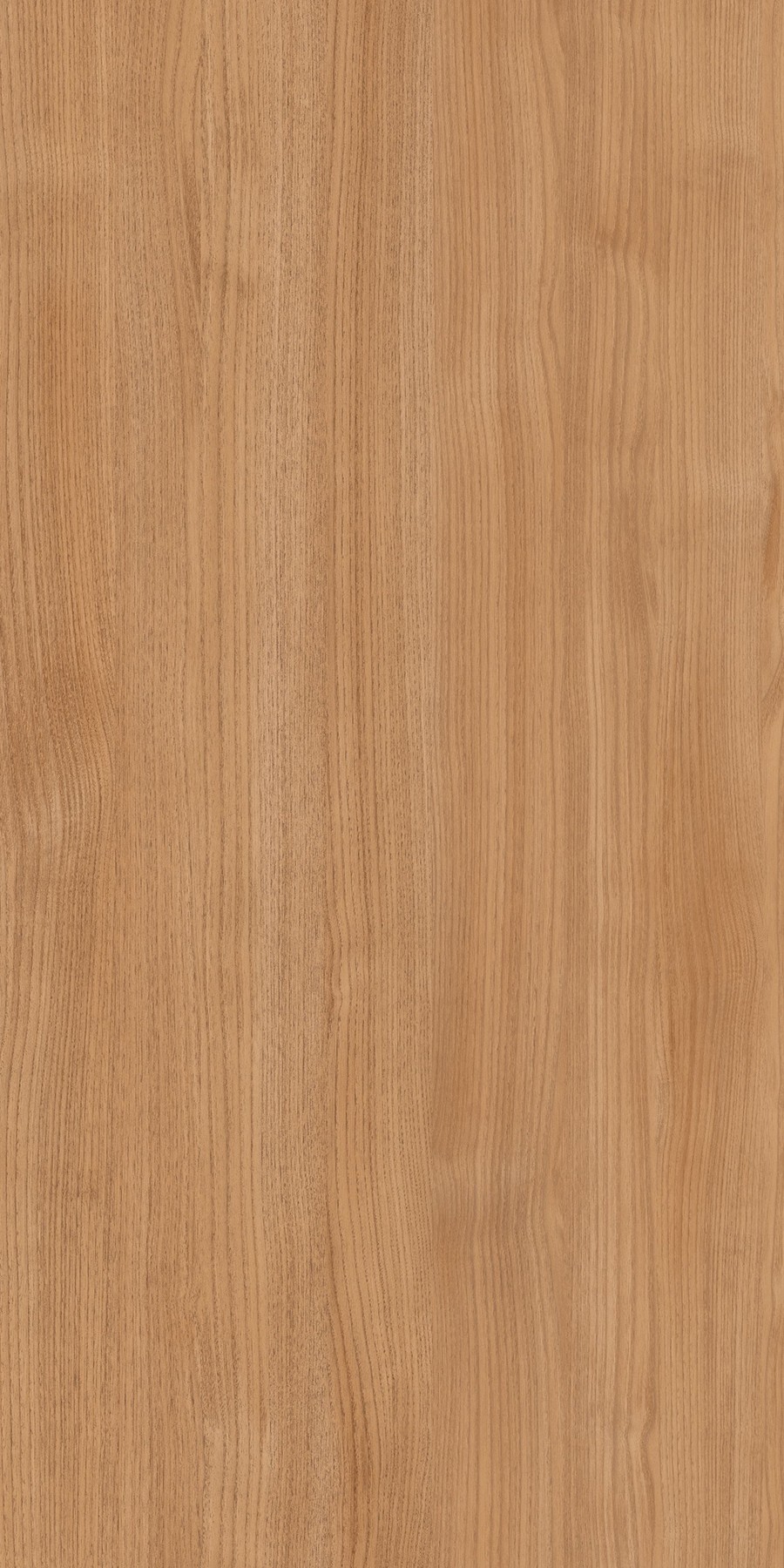 Blonde Wood HPL Laminates with Santhia (SAN) Finish in Dubai, UAE ...