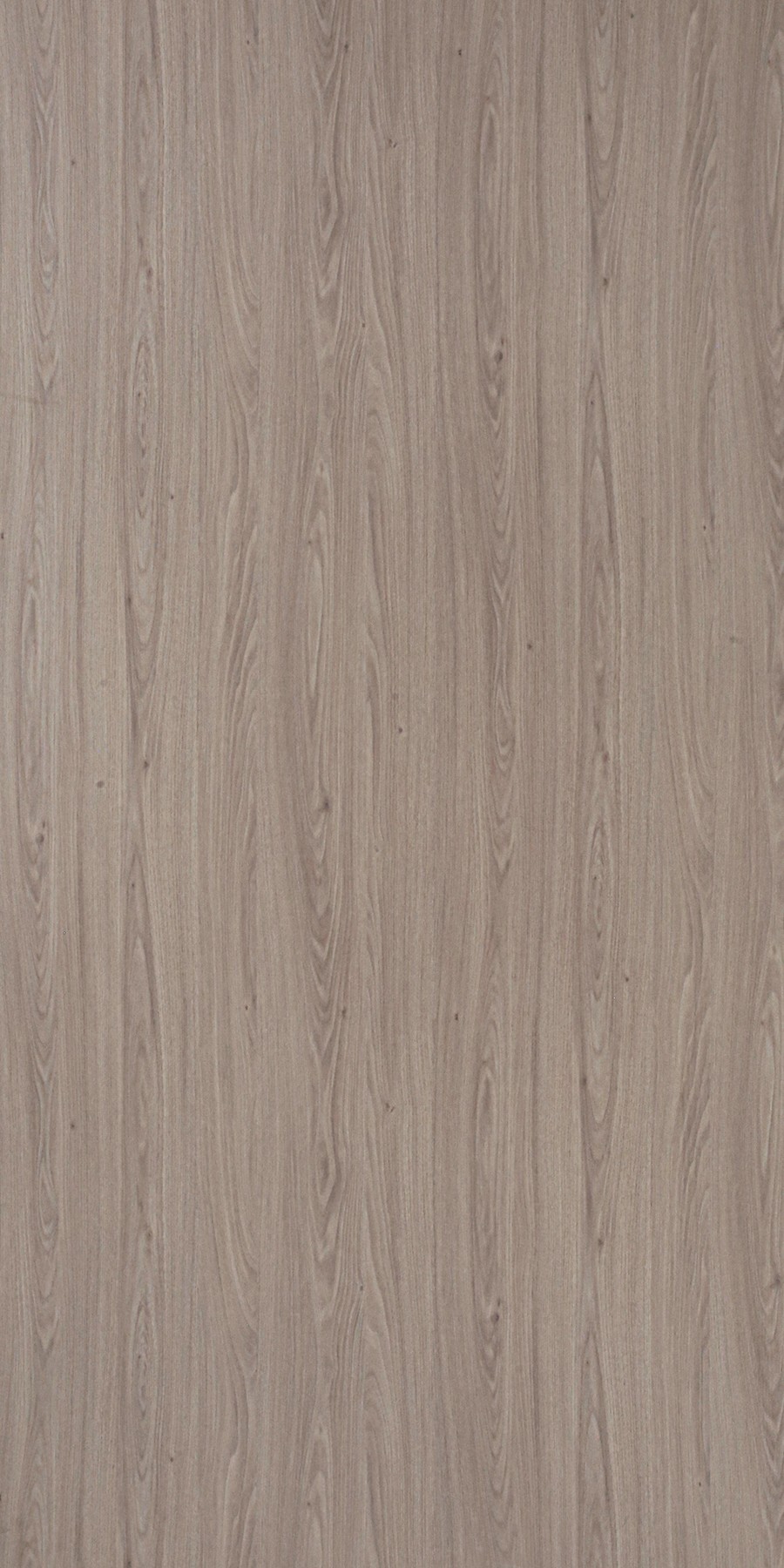 Nordic Acacia HPL Laminates with Suede (SUD) Finish in Dubai, UAE ...